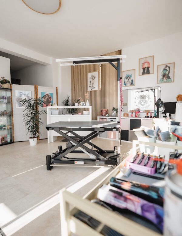 Leistungen – BeDlu Hundesalon